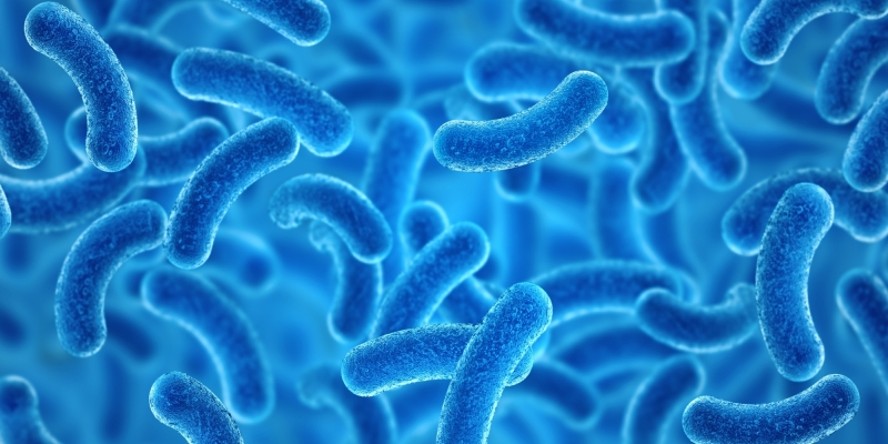 Parasitsygdomme - Sundhedsguiden